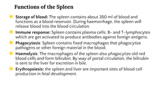 Introduction to Anatomy and Physiology 11.pdf