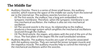 Introduction to Anatomy and Physiology 12.pdf