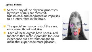 Introduction to Anatomy and Physiology 12.pdf