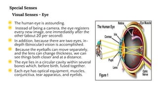Introduction to Anatomy and Physiology 12.pdf