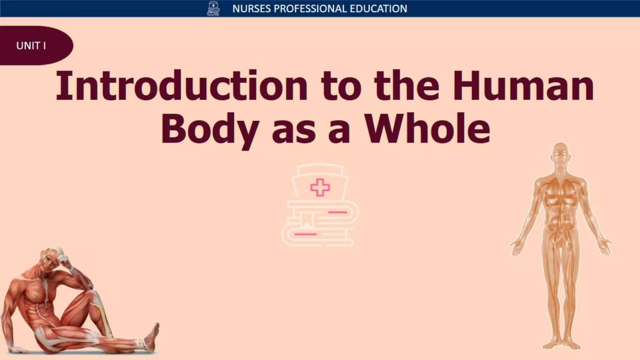 Introduction to anatomy and physiology ppt.pptx