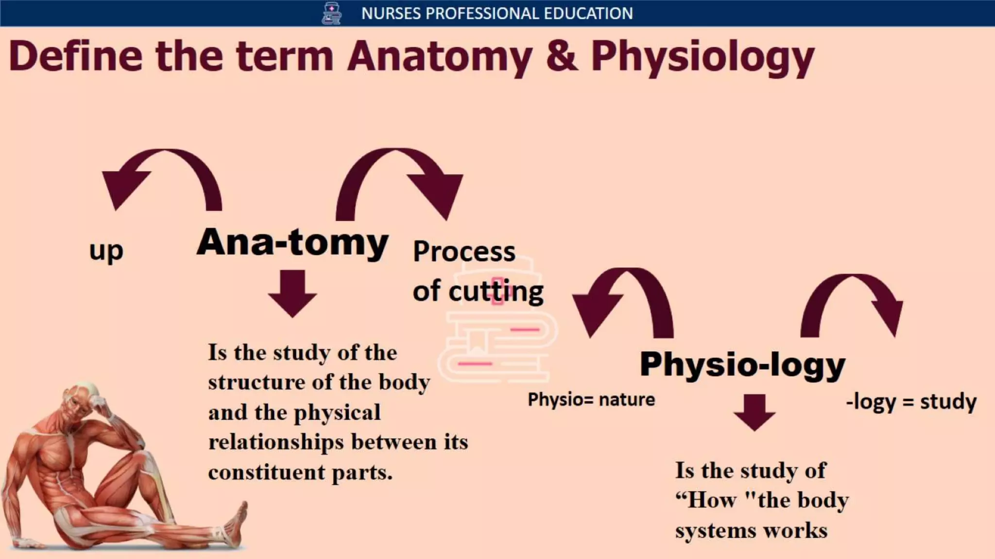 Introduction to anatomy and physiology ppt.pptx