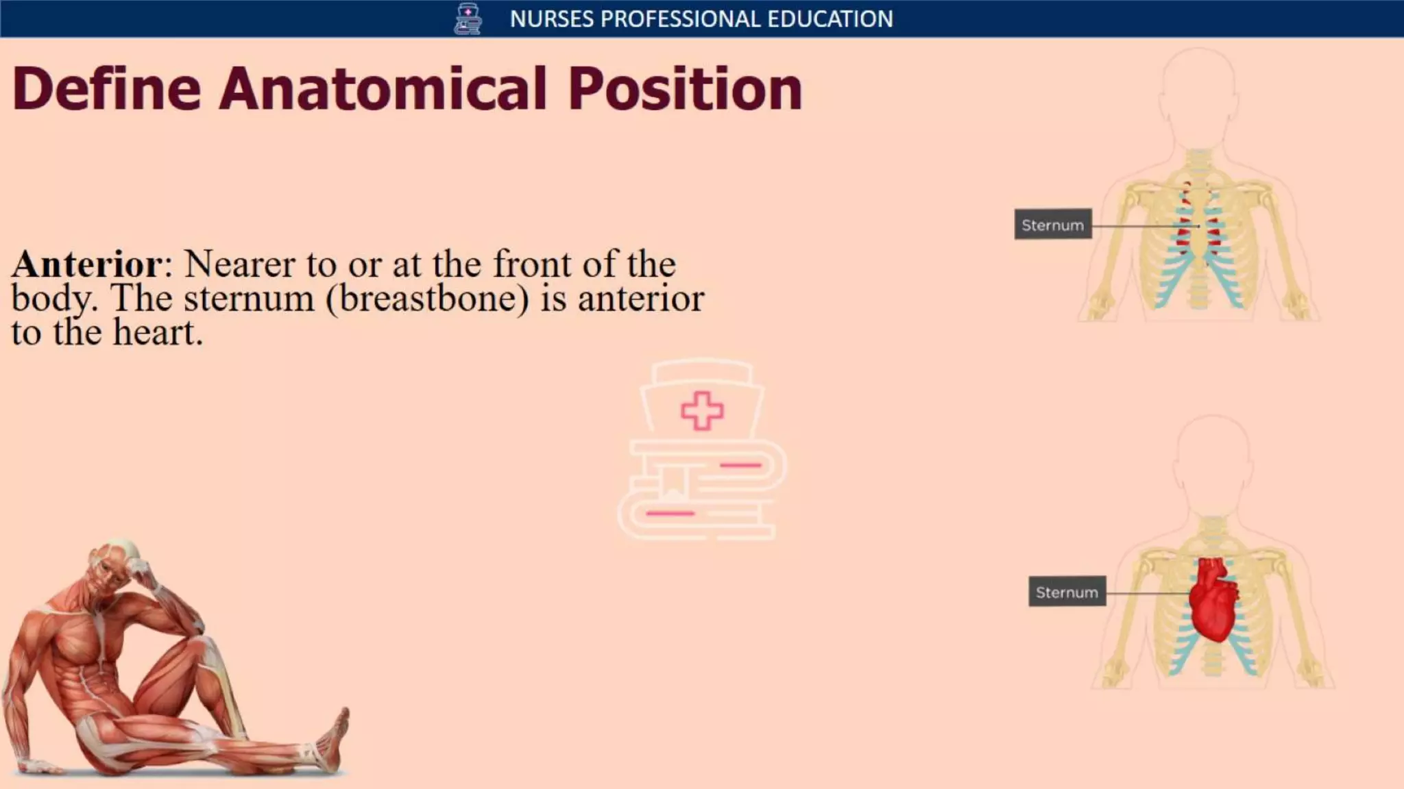 Introduction to anatomy and physiology ppt.pptx