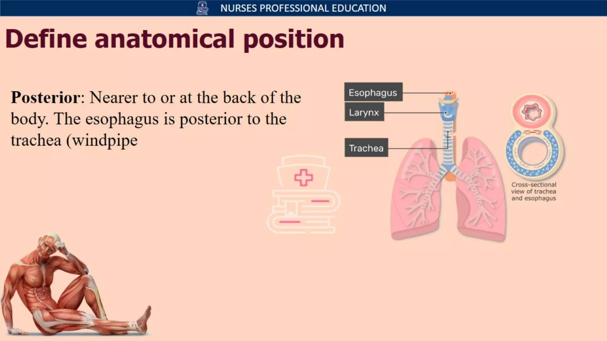 Introduction to anatomy and physiology ppt.pptx
