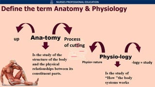 Introduction to anatomy and physiology ppt.pptx