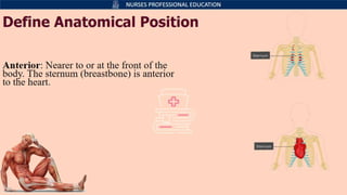 Introduction to anatomy and physiology ppt.pptx