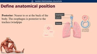 Introduction to anatomy and physiology ppt.pptx