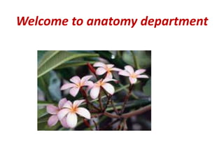 introduction to anatomy dept | PPTX