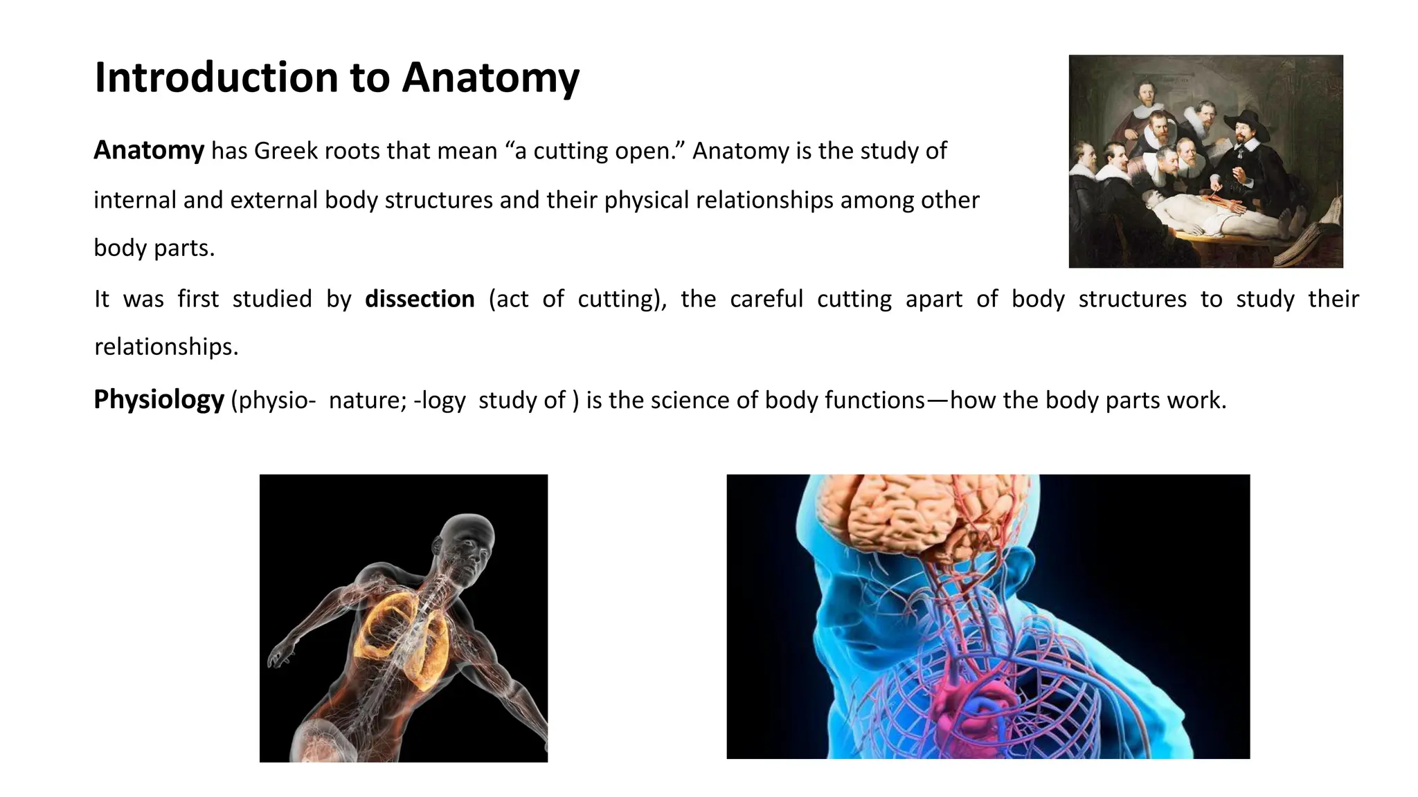Introduction to Anatomy (Lec 1) 23-24.pdf