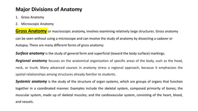 Introduction to Anatomy (Lec 1) 23-24.pdf