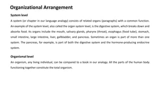 Introduction to Anatomy (Lec 1) 23-24.pdf