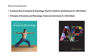 Introduction to Anatomy (Lec 2) 23-24.pdf