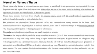 Introduction to Anatomy (Lec 7) muscular+Nervous tissue.pdf