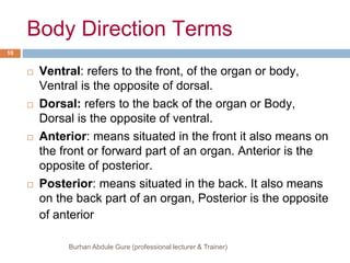 Introduction to anatomy | PPT