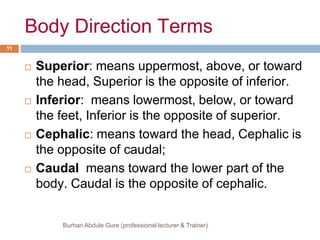 Introduction to anatomy | PPT