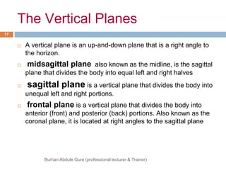 Introduction to anatomy | PPT