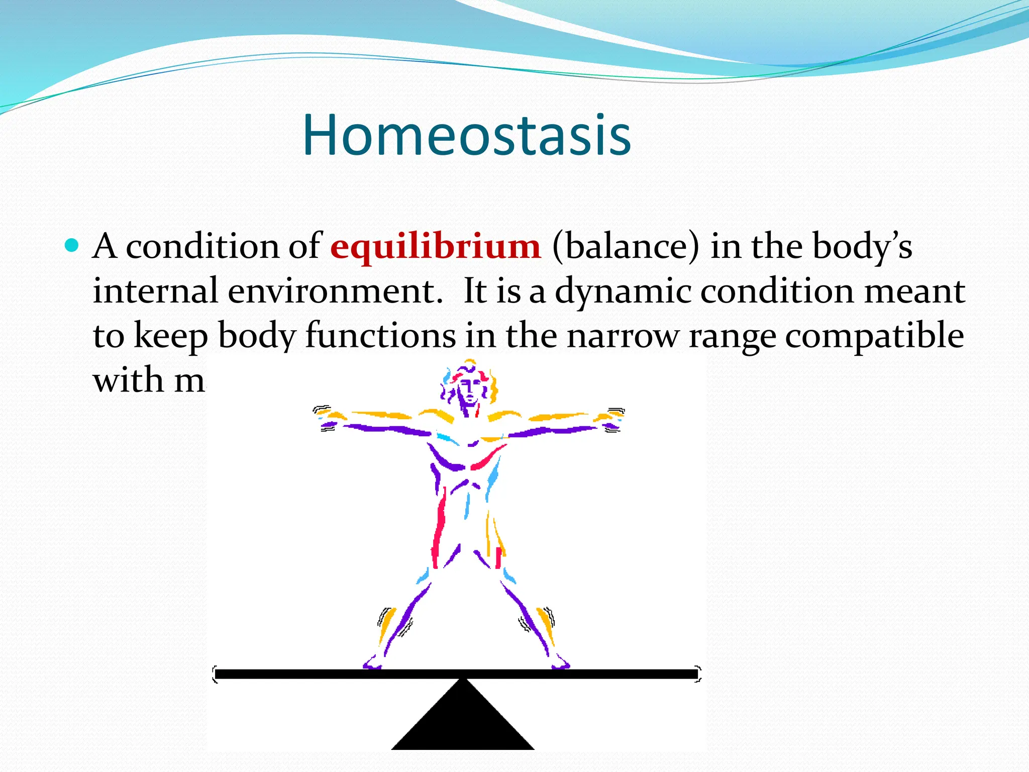 Introduction to Anatomy & Physiology.pptx