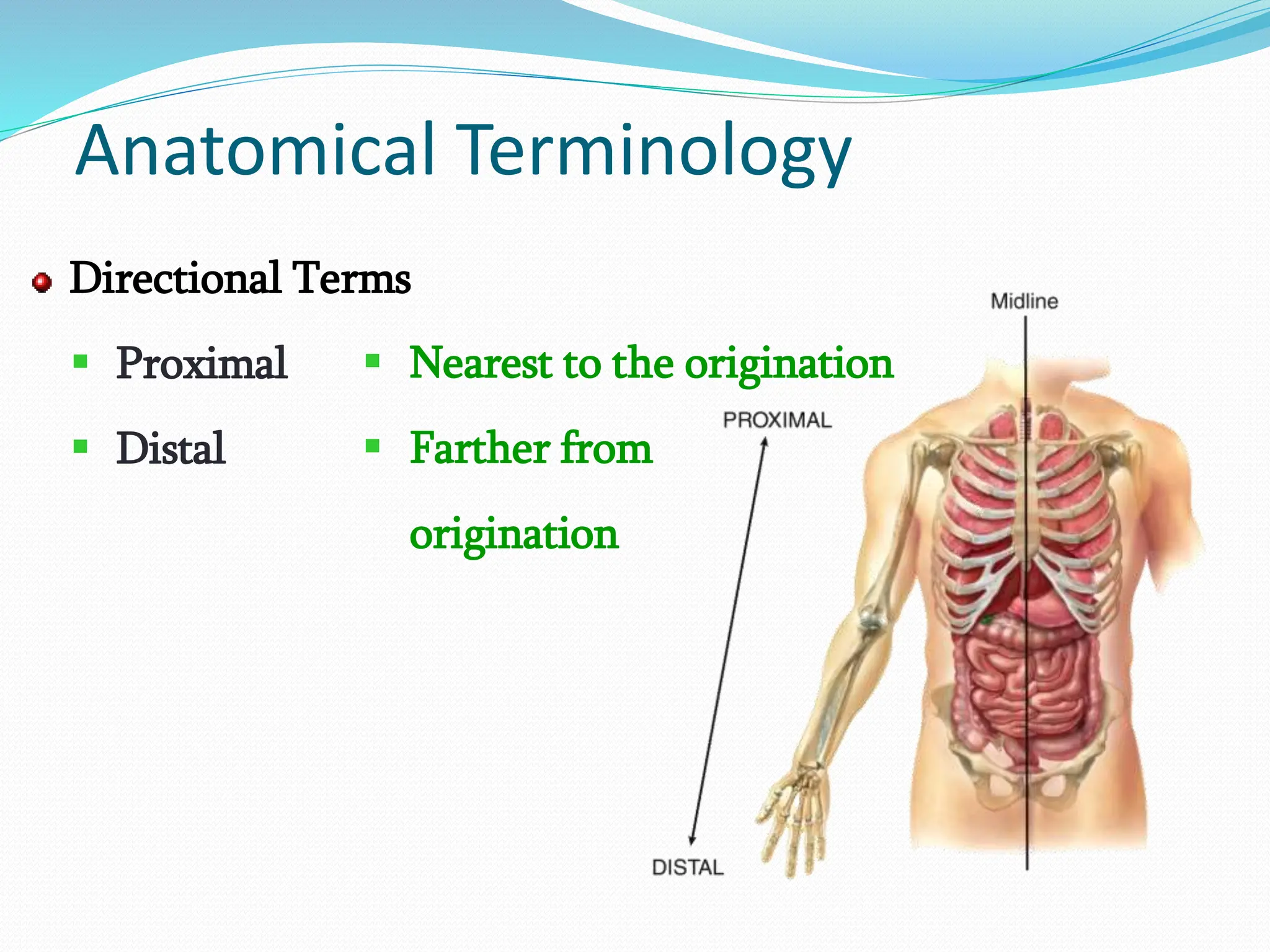 Introduction to Anatomy & Physiology.pptx