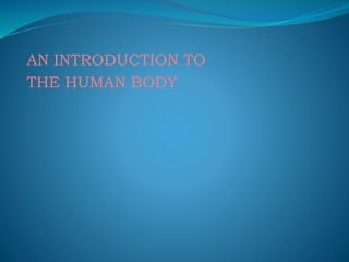 Introduction to Anatomy & Physiology.pptx
