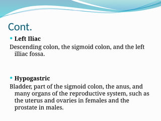 Introduction to Anatomy & Physiology 1.pptx