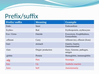 Introduction to Anatomy & Physiology 1.pptx