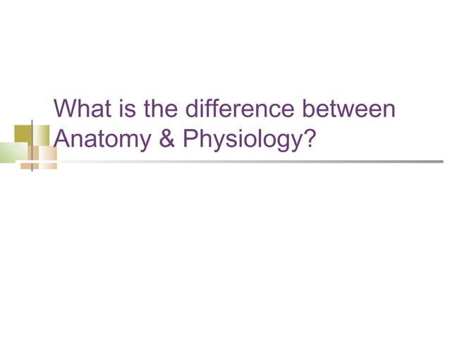 Introduction to anatomy & physiology2 | PPT