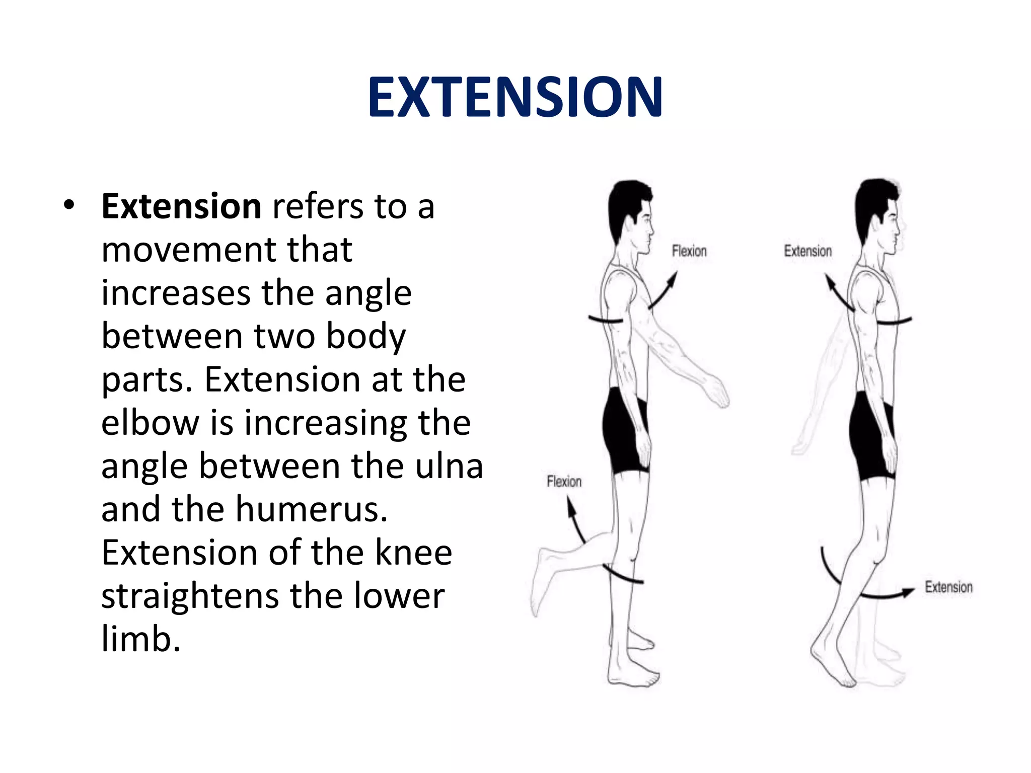 INTRODUCTION TO ANATOMY sun.pptx