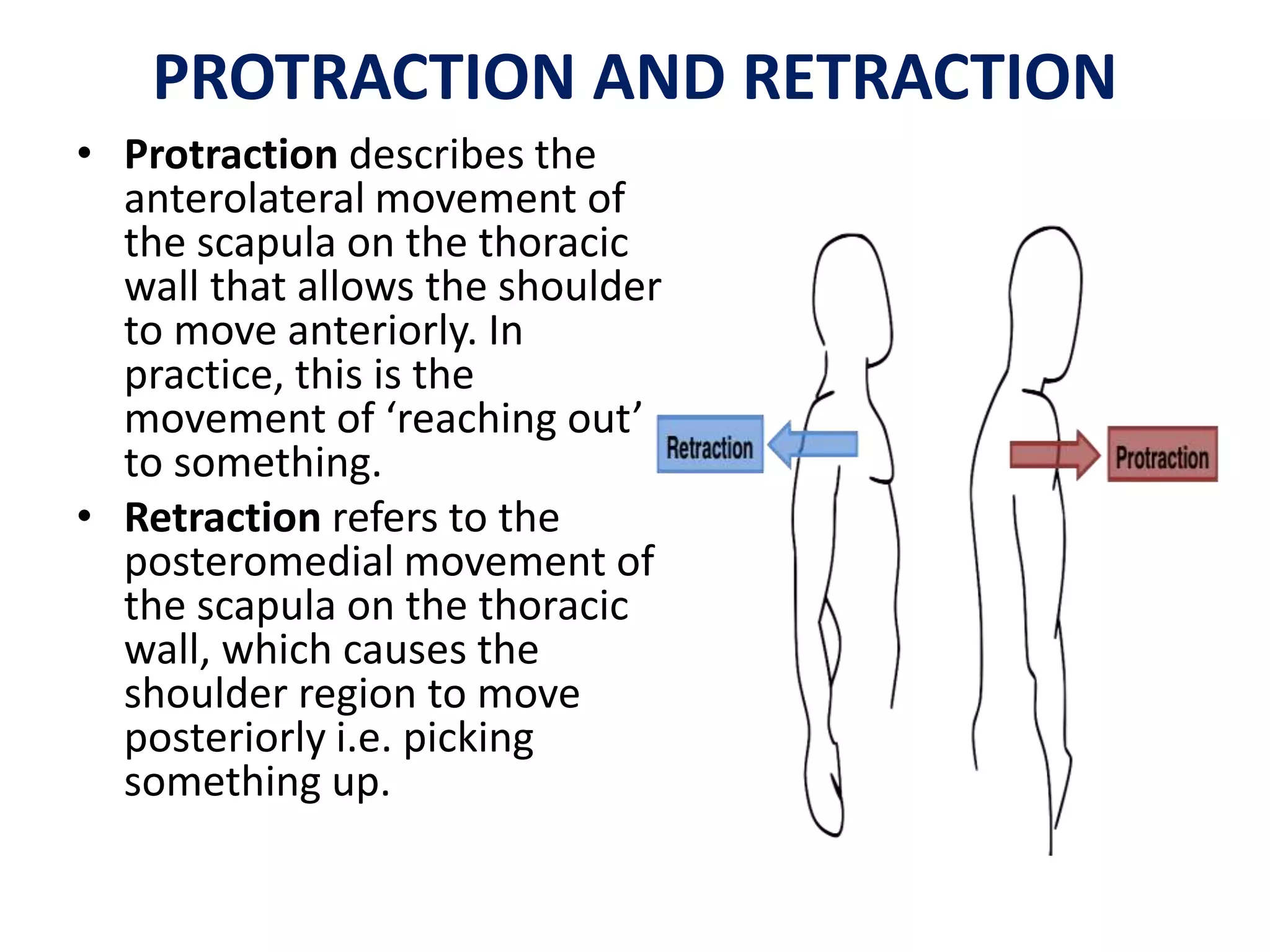 INTRODUCTION TO ANATOMY sun.pptx