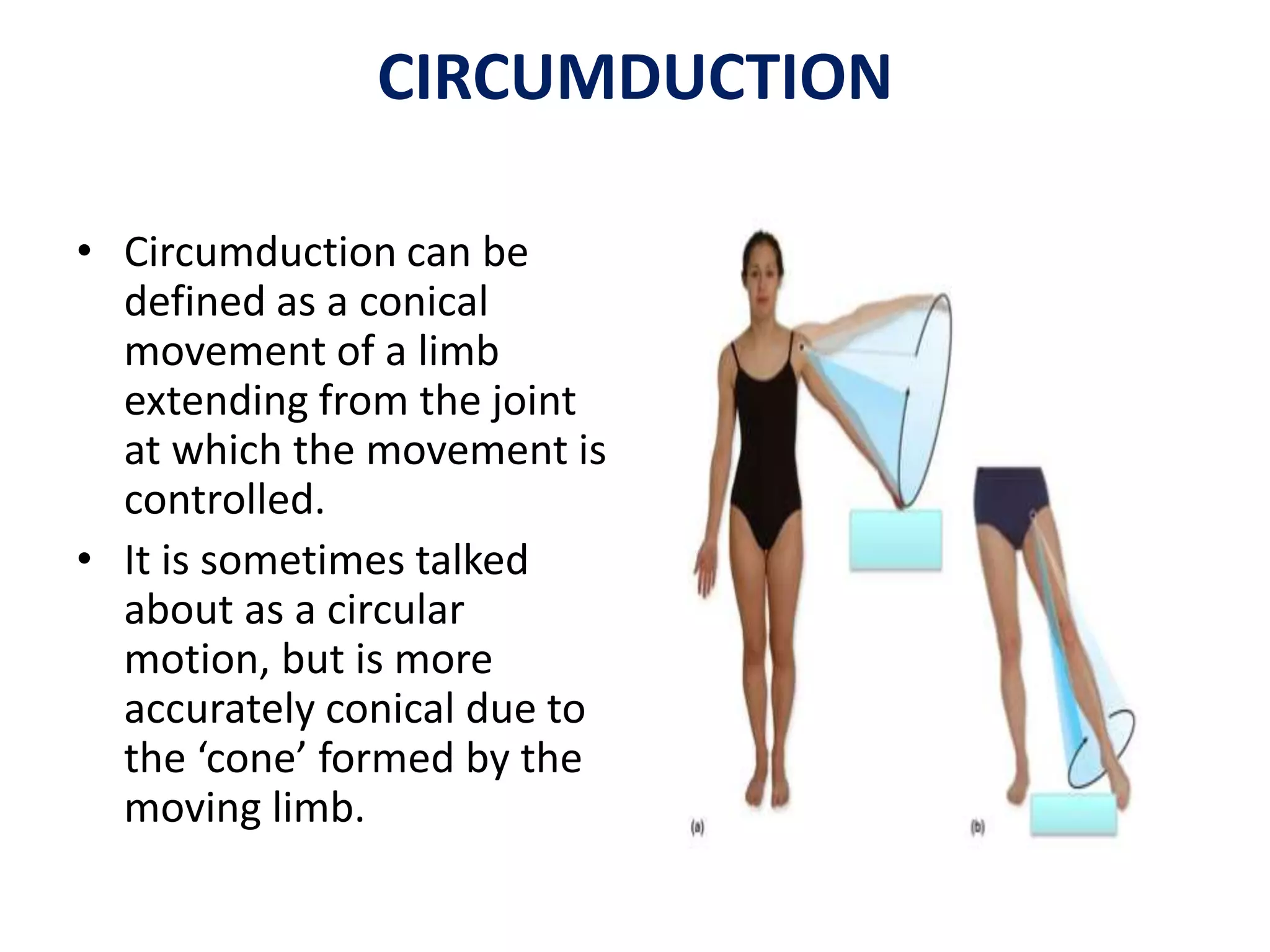 INTRODUCTION TO ANATOMY sun.pptx