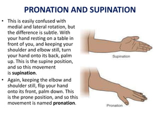 INTRODUCTION TO ANATOMY sun.pptx