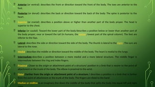 okeke introduction to anat & physio.pptx