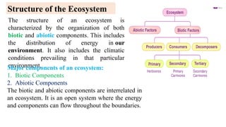Introduction to an Ecosystems: Components, Energy Flow, and Types | PPTX