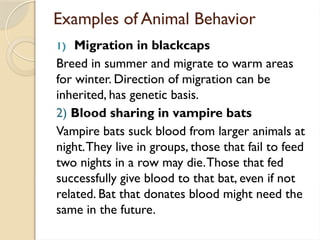 INTRODUCTION TO ANIMAL BEHAVIOR - A brief introduction.pptx