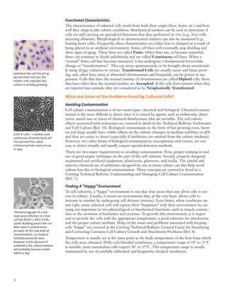 Introduction to animal_cell_culture | PDF