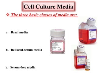 Introduction to animal cell culture | PPTX