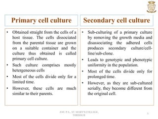 Secondary Cell Culture – Animal Tissue Culture: Principles and ...
