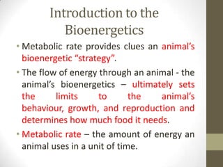 Introduction to animal form & function | PPTX