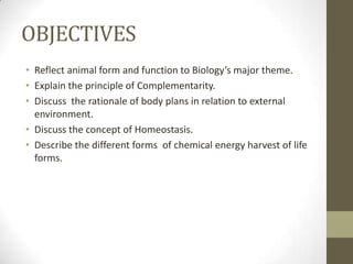 Introduction to animal form & function | PPTX