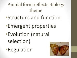 Introduction to animal form & function | PPTX
