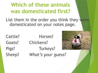 Introduction to Animal Science. Introduction to Animal Sciencepptx | PPTX