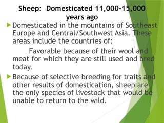 Introduction to Animal Science. Introduction to Animal Sciencepptx | PPTX