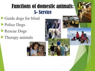 Introduction to Animal Science. Introduction to Animal Sciencepptx | PPTX