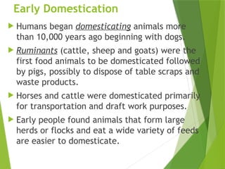 Introduction to Animal Science. Introduction to Animal Sciencepptx | PPTX