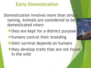 Introduction to Animal Science. Introduction to Animal Sciencepptx | PPTX