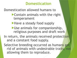 Introduction to Animal Science. Introduction to Animal Sciencepptx | PPTX