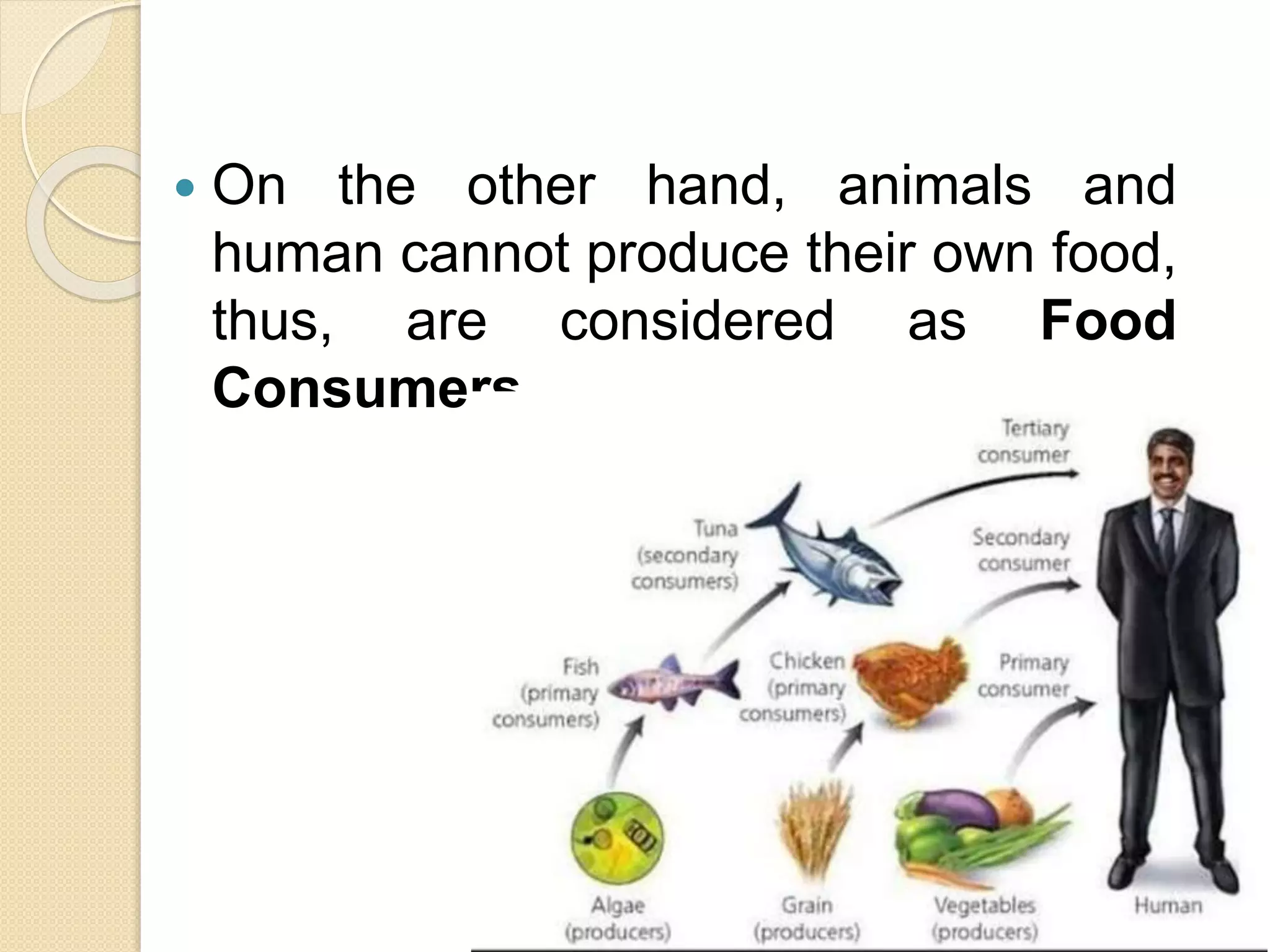 INTRODUCTION TO ANIMAL SCIENCE AS11_CAS 1A.pptx