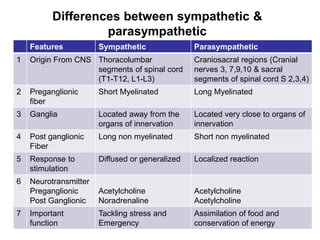Introduction to Autonomic Nervous system | PPT