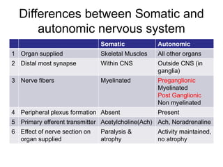 Introduction to Autonomic Nervous system | PPT