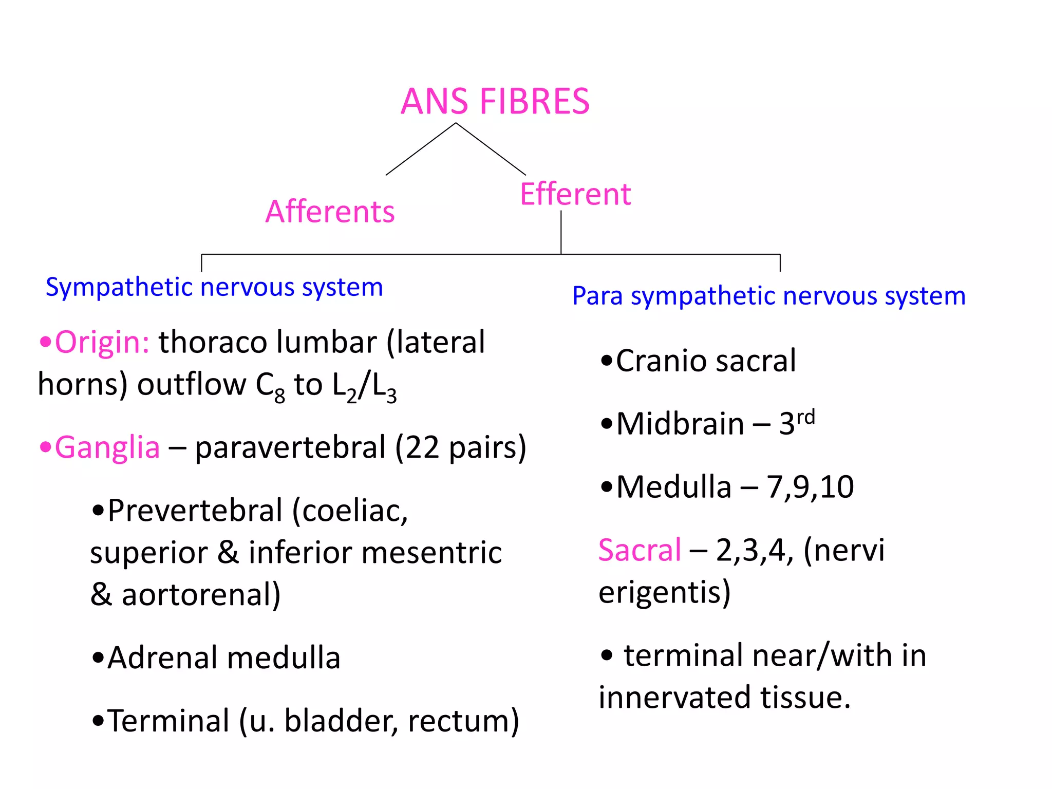 Introduction to ans | PPT