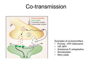 Introduction to ans | PPT